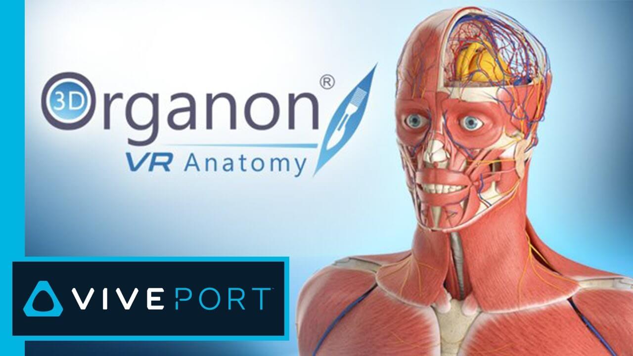 3D Organon: Amazing VR Anatomy Experience for Students - TechnologyEDUC