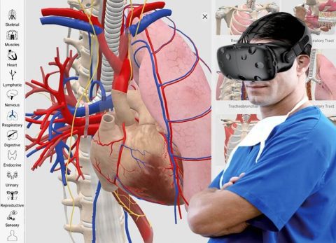 3D Organon: Amazing VR Anatomy Experience for Students - TechnologyEDUC