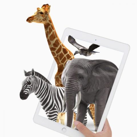 Animal 4D+: Best 4D Animal App - TechnologyEDUC