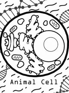 AR Science Coloring Pages - TechnologyEDUC