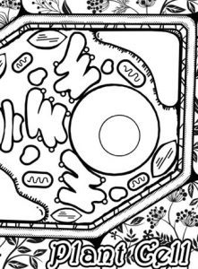 AR Science Coloring Pages - TechnologyEDUC